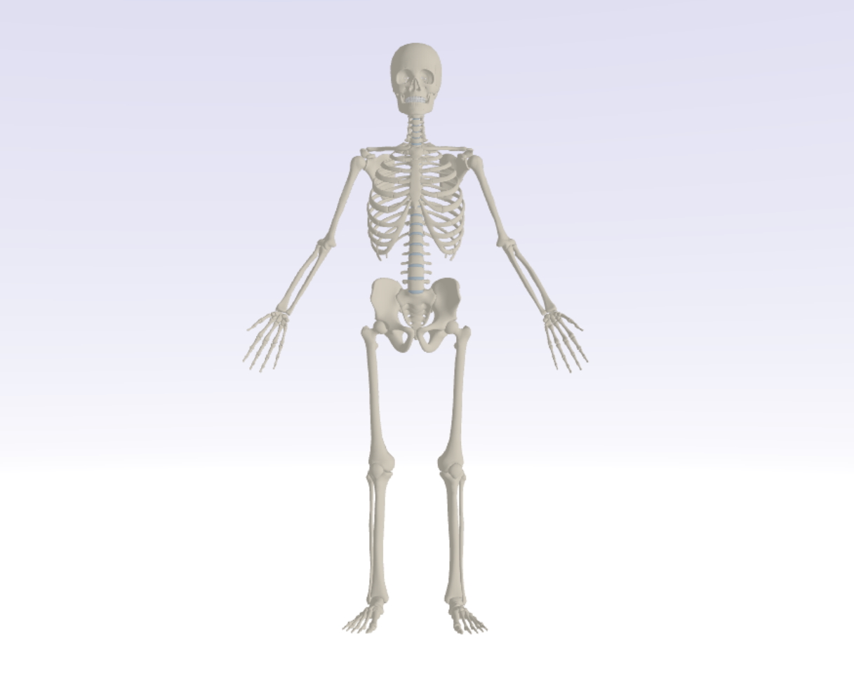 Beebox Studios Private Limited